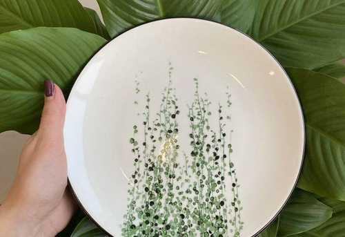 Тарелка керамическая с растением "Слезы любовника"