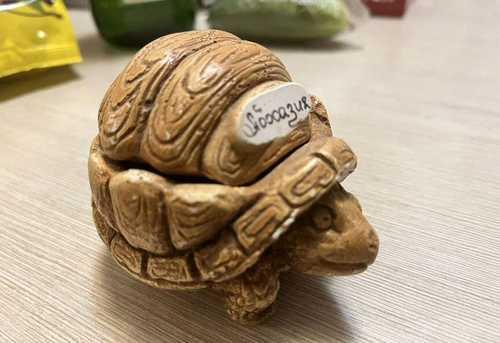 Шкатулка черепаха глина Абхазия