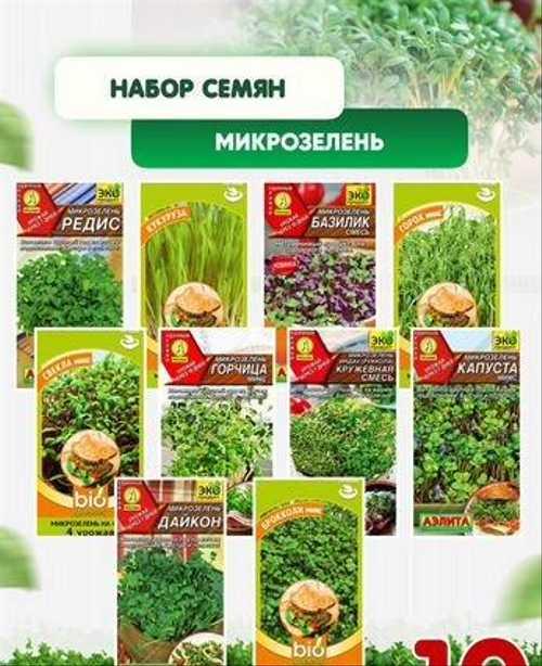 Семена микрозелени для выращивания