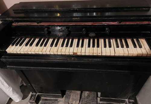 Фисгармония Домашний орган