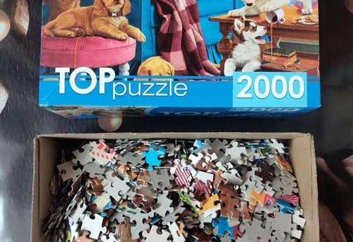 Пазл 2000 деталей