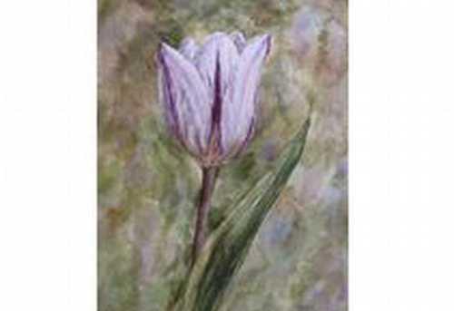 Картина акварелью тюльпан