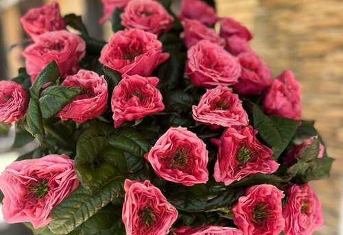 Пионовидные розы букет/цветы с доставкой