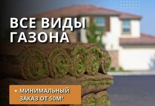 Укладка и продажа рулонного газона