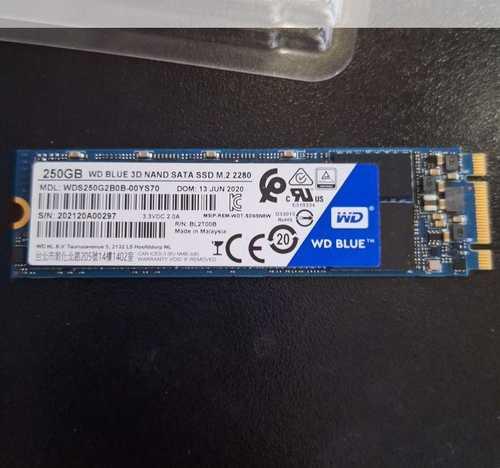 250gb ssd wd blue SATA ssd m.2