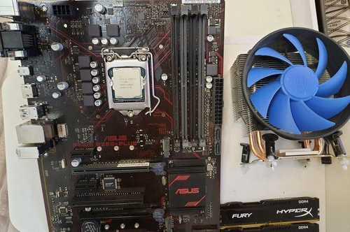 Asus b250-plus (сокет Intel LGA 1151)