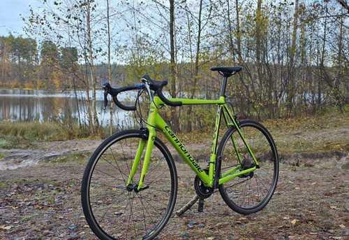 Cannondale caad optimo tiagra (2018)