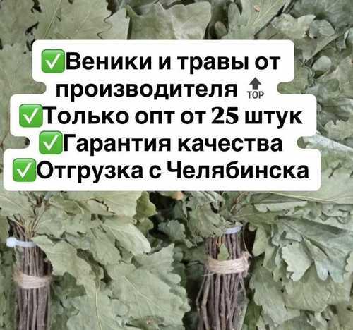 Веники для бани дубовые