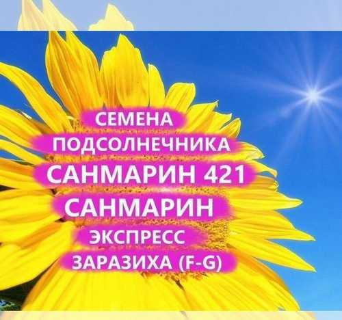 Семена подсолнечника Санмарин 421 Гибрид, Самара