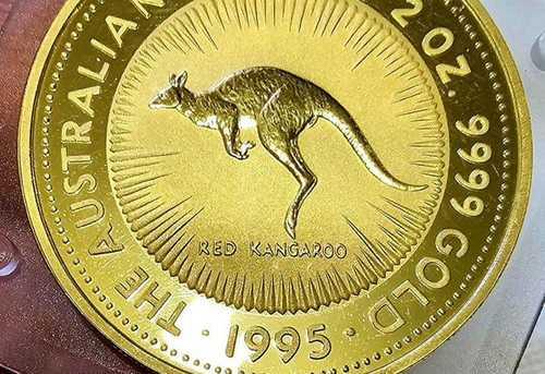 Золотая монета 2 унции кенгуру