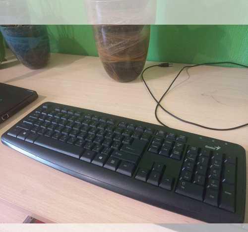 Клавиатура Genius KB-110X