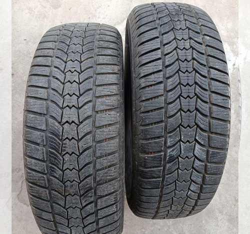 Sava Eskimo HP2 205/60 R16