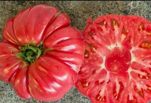 Домашние семена томата Розовый Гигант