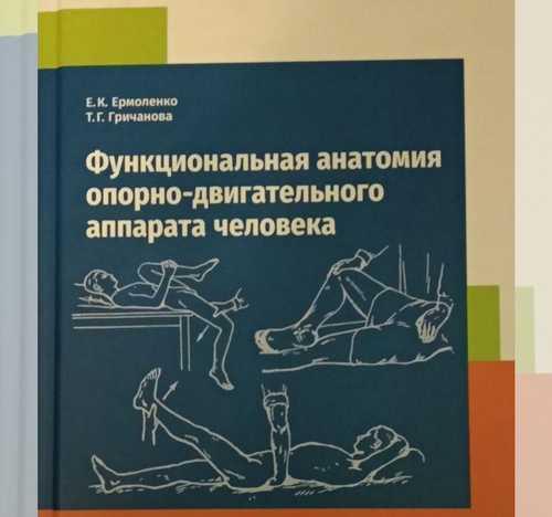 Функциональная анатомия опорно-двиг.аппарата чел