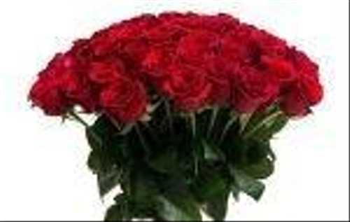 Букет из 49 красных роз 60 см, цветы доставка