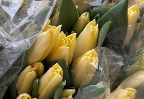 Тюльпаны оптом с луковицами