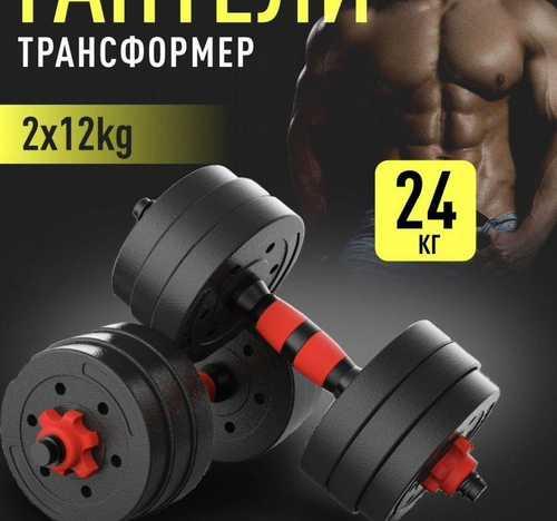Гантели разборные 24кг