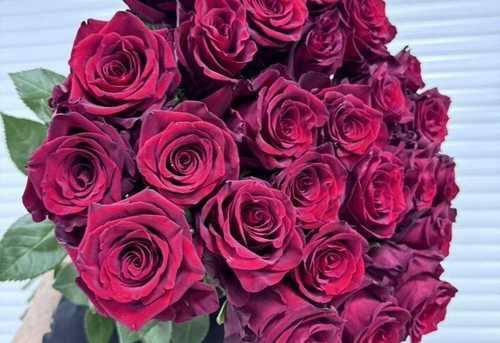 Крупные метровые розы 100 см Эквадор премиум
