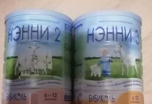 Нэнни 2,3