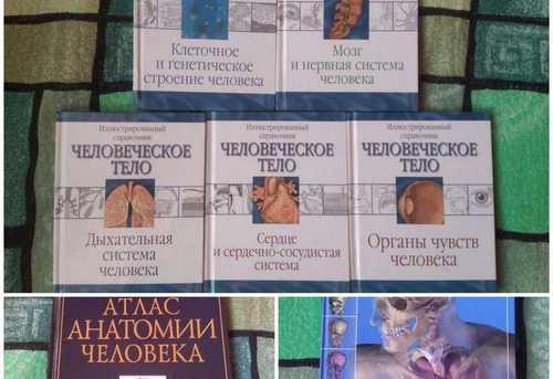 Атлас анатомии Питер Абрахамс + Томас О.Маккрекен