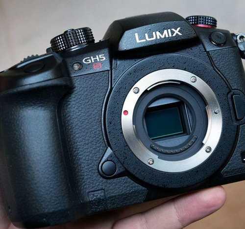 Panasonic lumix dc GH5s