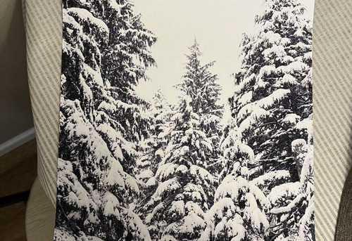 Постер зимний лес