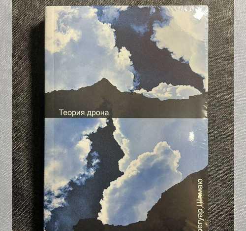 Книга "Теория дрона"