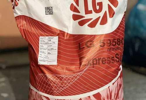 Семена гибрида подсолнечника LG59580 Испания