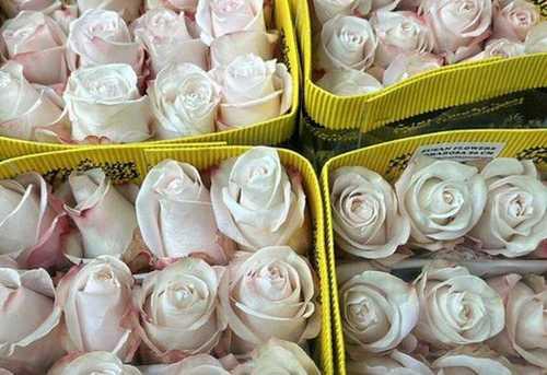 Букет из 15 роз 50см Цветы Розы Букет