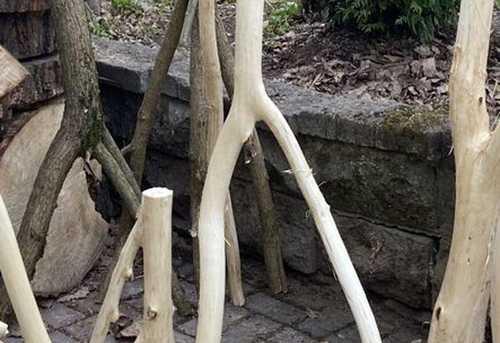 Коряги ветки стволы дерева пень ширма панно