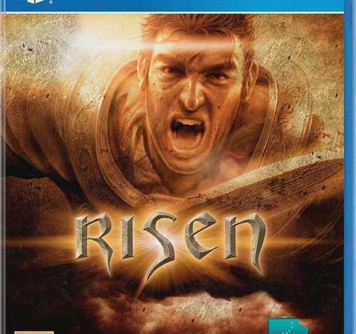 Risen (PS4) б/у, Полностью Русский