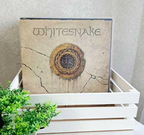 Whitesnake lp виниловые пластинки