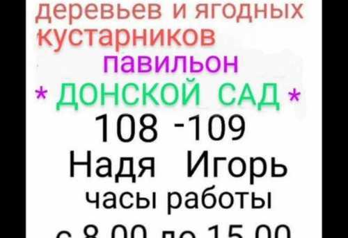 Саженцы плодовых деревьев и ягодных кустарников