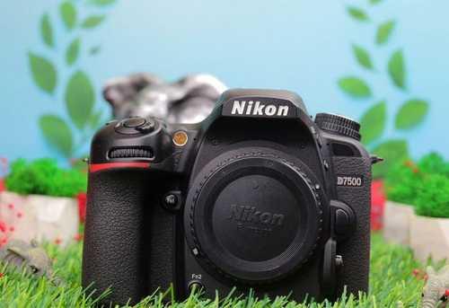 Nikon D7500 Body ID601