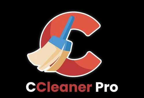 CCleaner Professional 2024 Windows