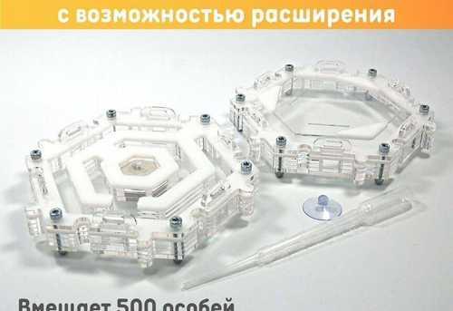 Муравьиная ферма "Стартовая" / Комплект для новичк