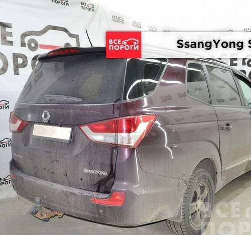Арки SsangYong Stavic