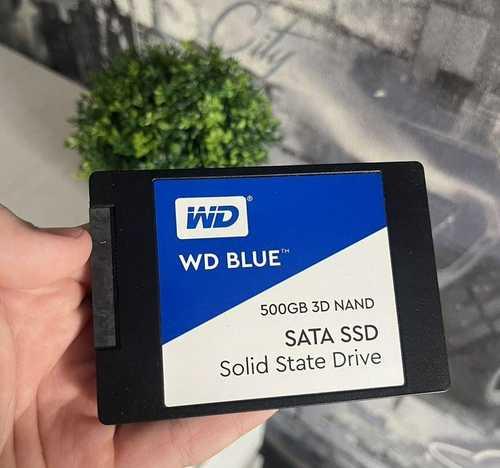 SSD 500GB WD Blue