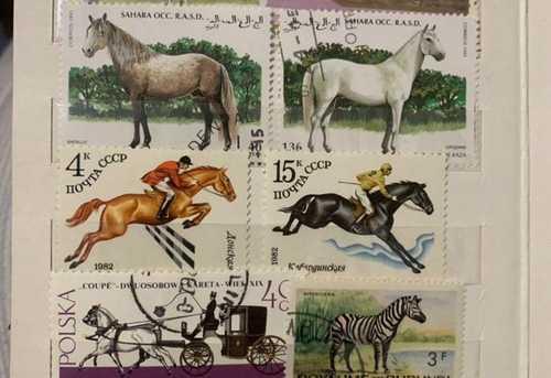 Альбом марок кони, лошади