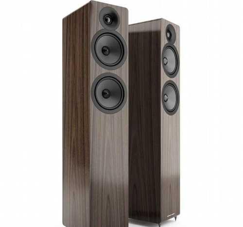 Acoustic Energy AE109-2 (2022) Walnut