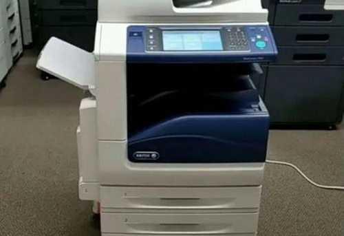 А3 Xerox 7825 мфу принтер