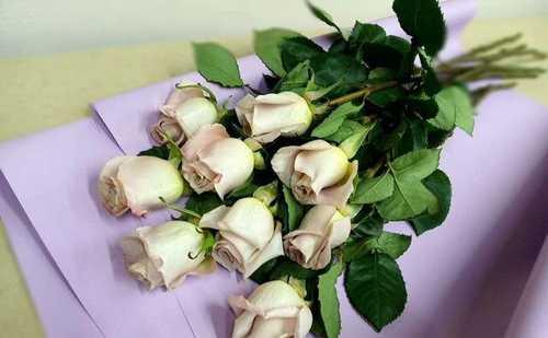 Розы Эквадор Лиловые. Доставка цветов. Букет роз