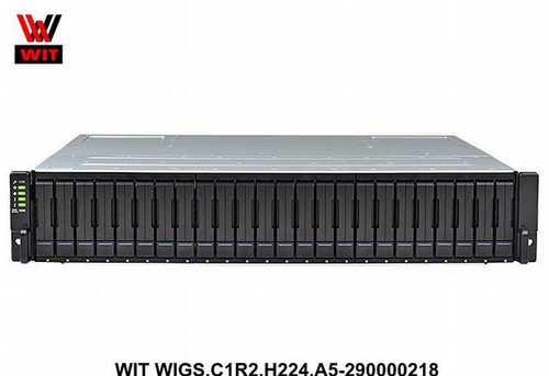 Система хранения данных WIT wigs.C1R2.H224.A5-2900