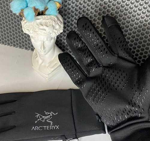 Перчатки мужские Arcteryx