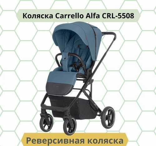 Коляска прогулочная Carrello Alfa