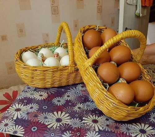 Пасхальные корзины для яиц