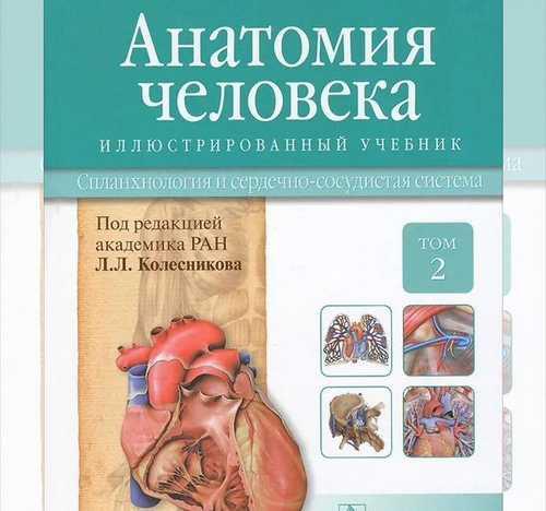 Учебник Анатомия Человека Л.Л.Колесников 2 том