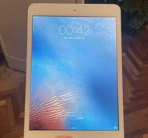 iPad mini 1