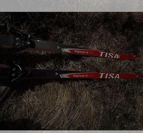 Лыжи Tisa sport wax 205 см