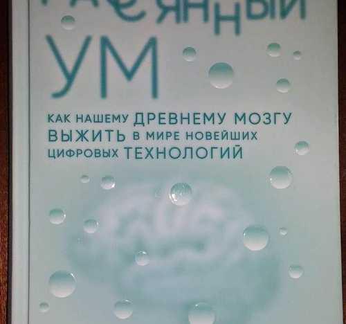 Рассеянный ум Адам Газзали Ларри Розен